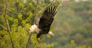 Scientists discovered a disease that only exists because of plastic ...